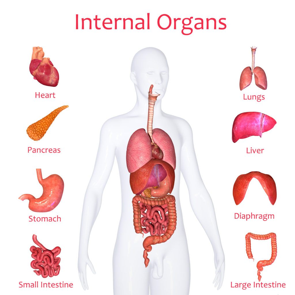 Yes You DO Have Internal Organ Involvement But Scleroderma