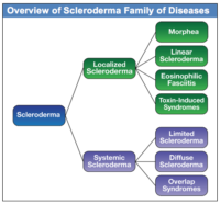 Scleroderma Overview – Scleroderma Education Project
